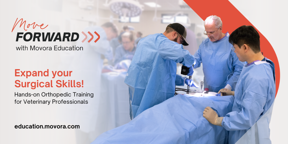 Movora Education - Upcoming Opportunities